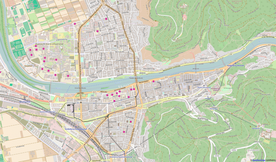 Historische Karten Heidelbergs aus 1528 und aus dem 19. Jh.